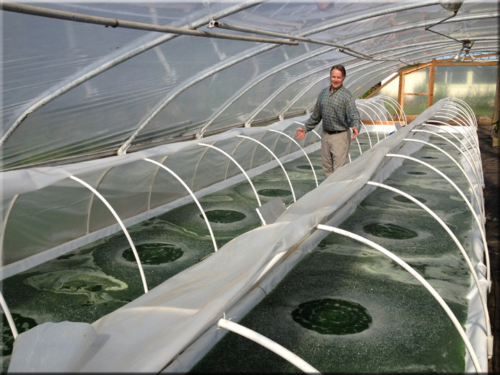 Smart Microfarms