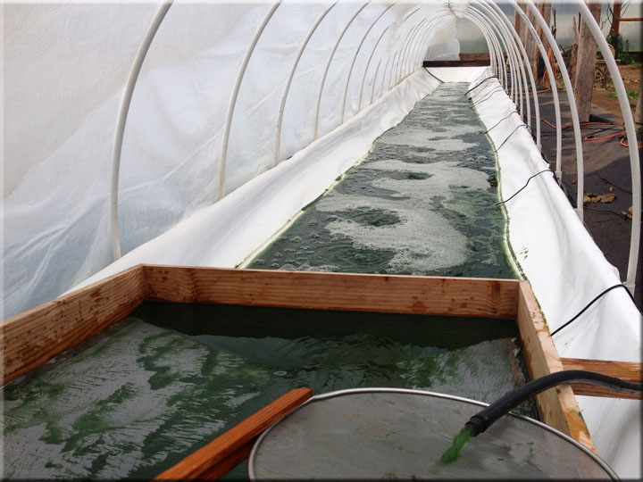 Smart Microfarms